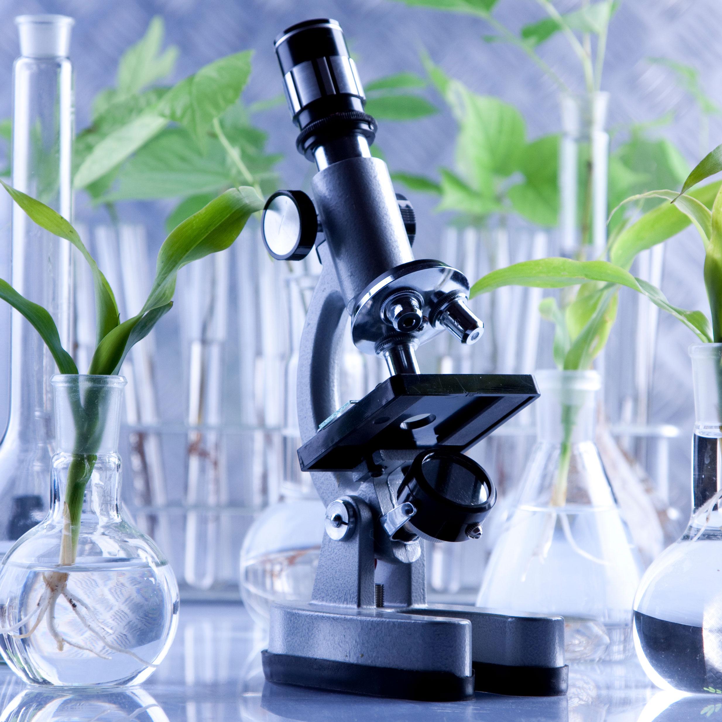 Phytochemical Research – DR. MA'S LABORATORIES INC.